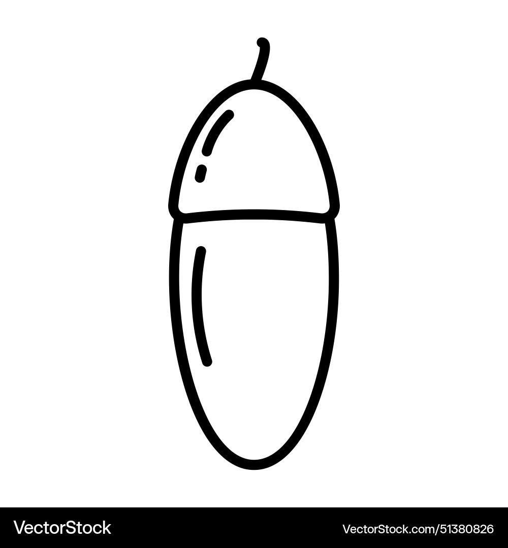 Stylized outline drawn acorn fruit logo icon Vector Image