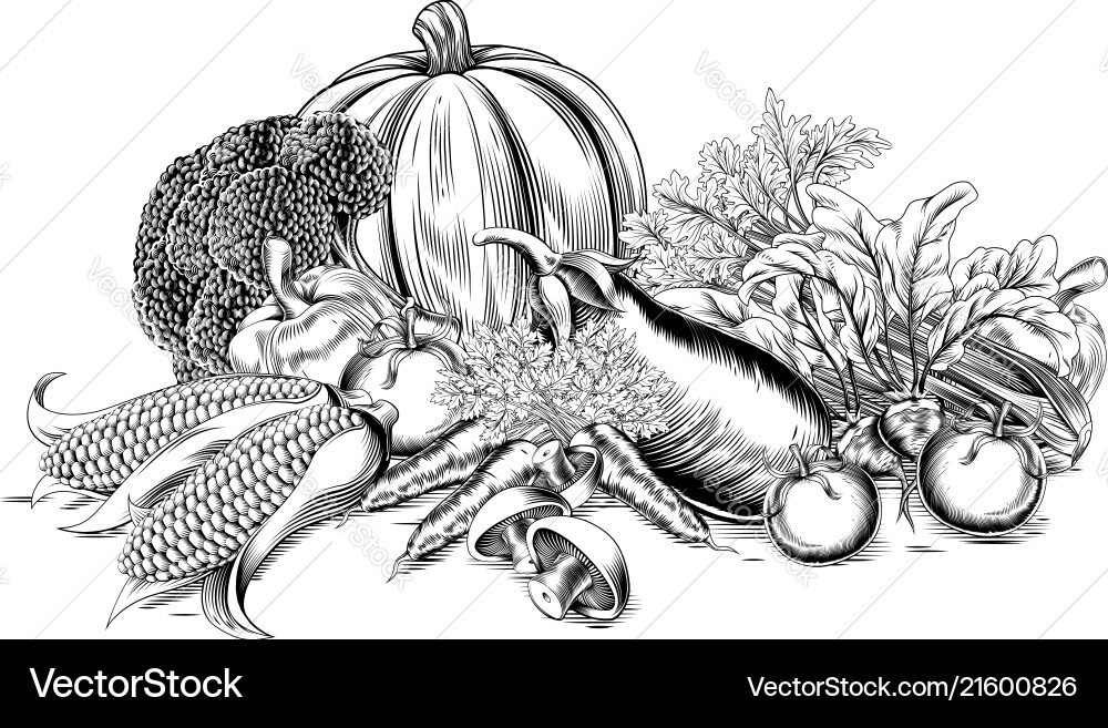 Lithograph Vector Images (over 220)