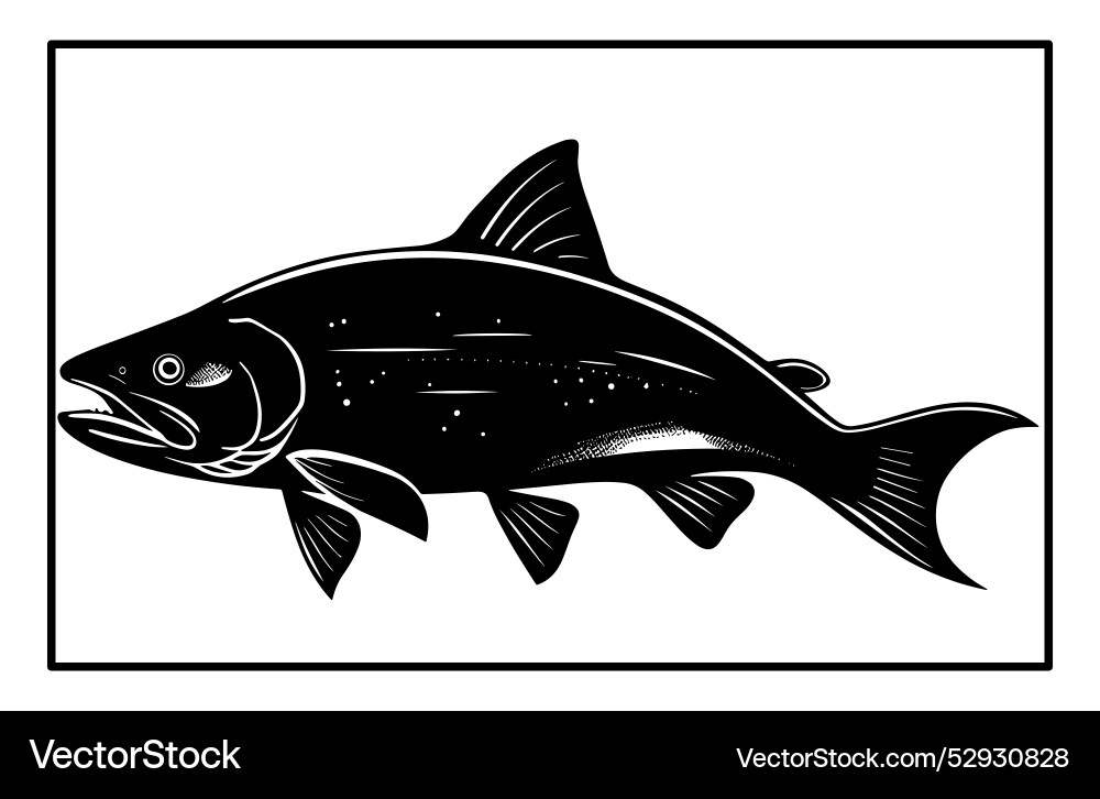 River haddock fish silhouette Royalty Free Vector Image