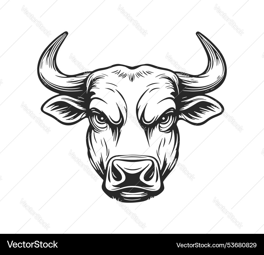 Fierce bull portrait monochrome Royalty Free Vector Image