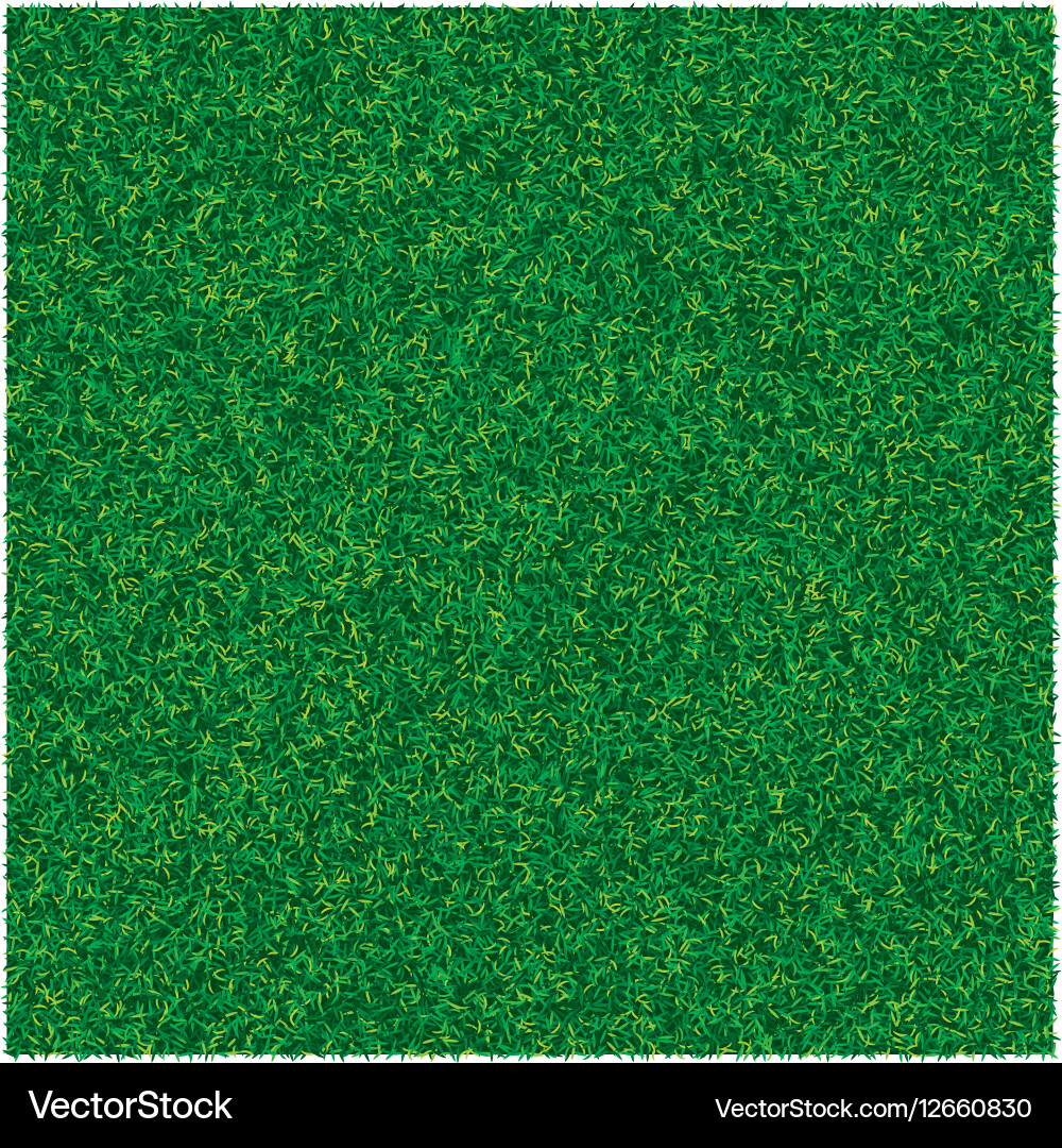 Abstract texture with green lawn grass Royalty Free Vector