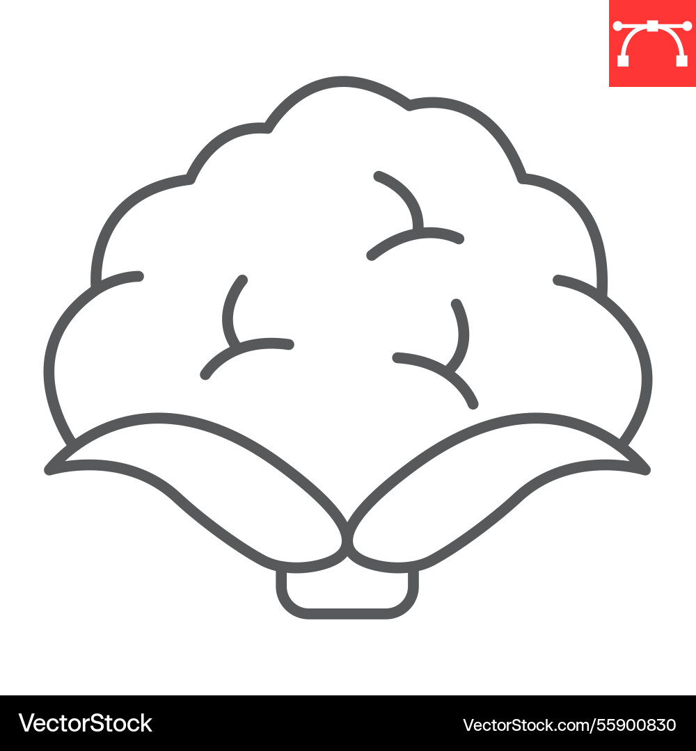 Cauliflower line icon fresh and vegetable Vector Image