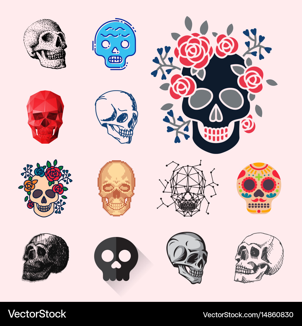 Different style skulls faces Royalty Free Vector Image