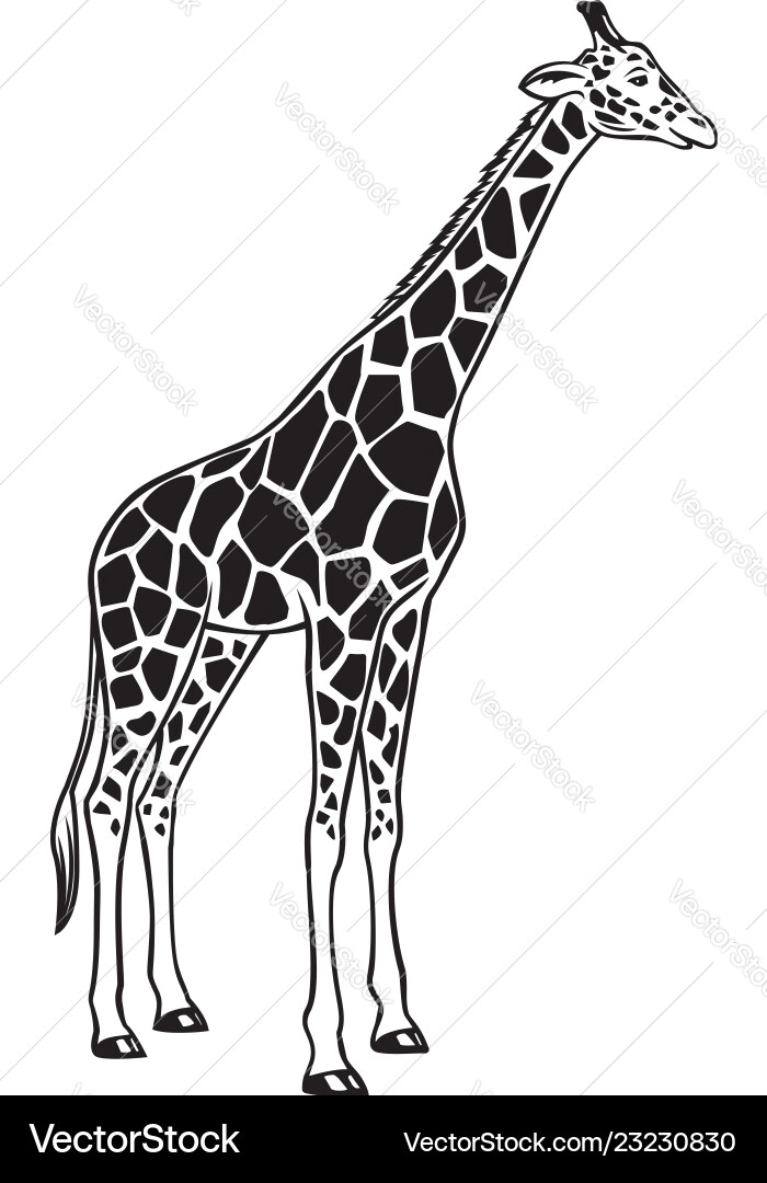 Elegant Giraffe Icon - Black & White Vector Image