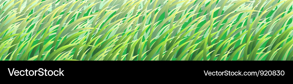 Grass Royalty Free Vector Image - VectorStock