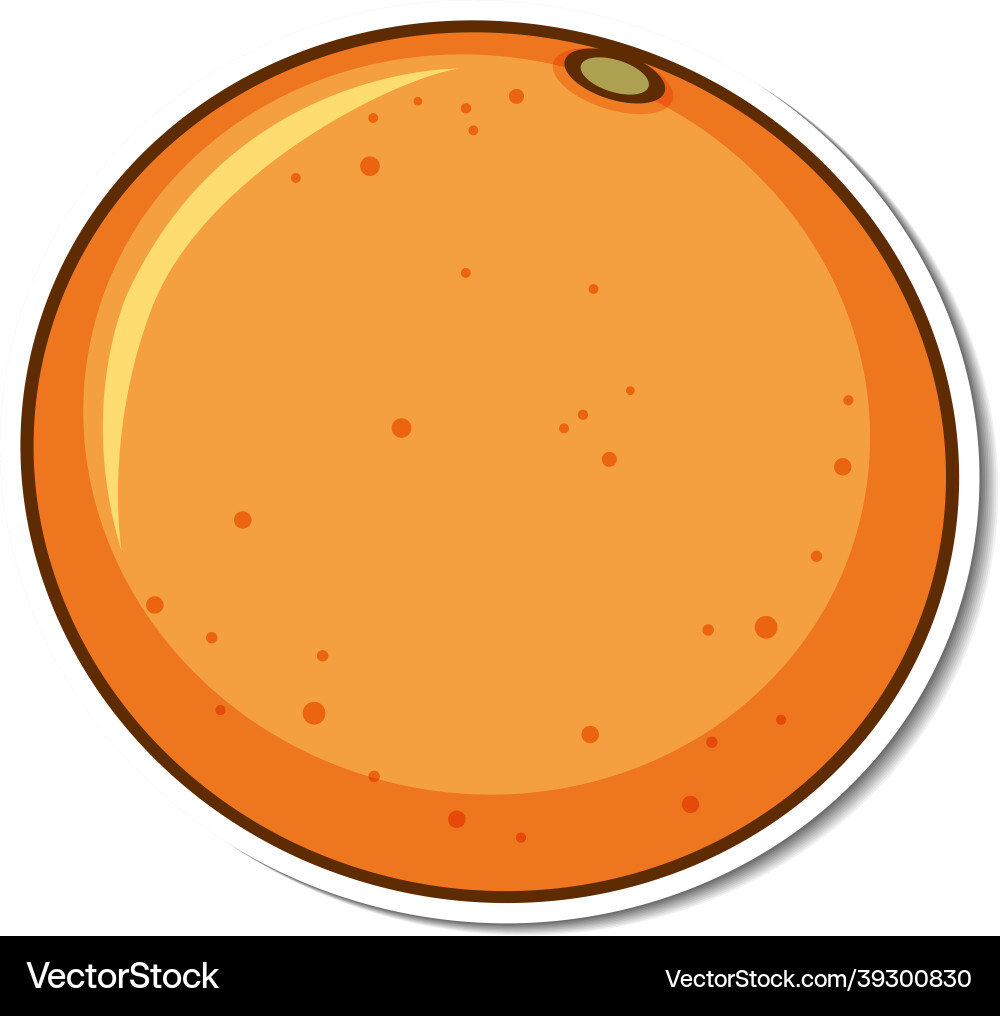 Orange Fruit Sticker on White Background Vector Image