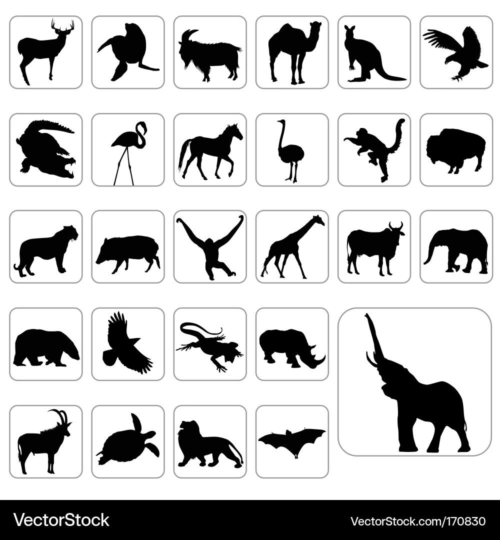Wild animals Royalty Free Vector Image - VectorStock