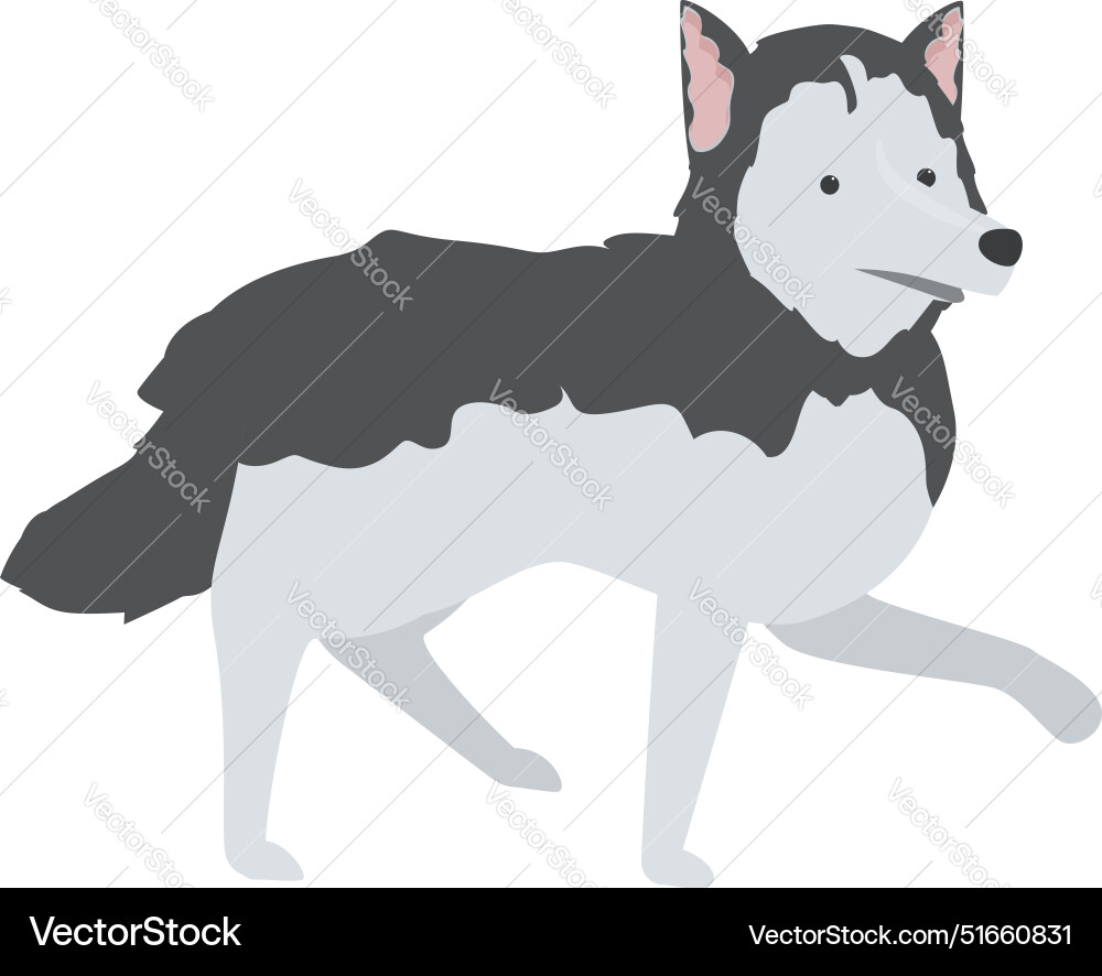 Adorable siberian husky dog walking Royalty Free Vector