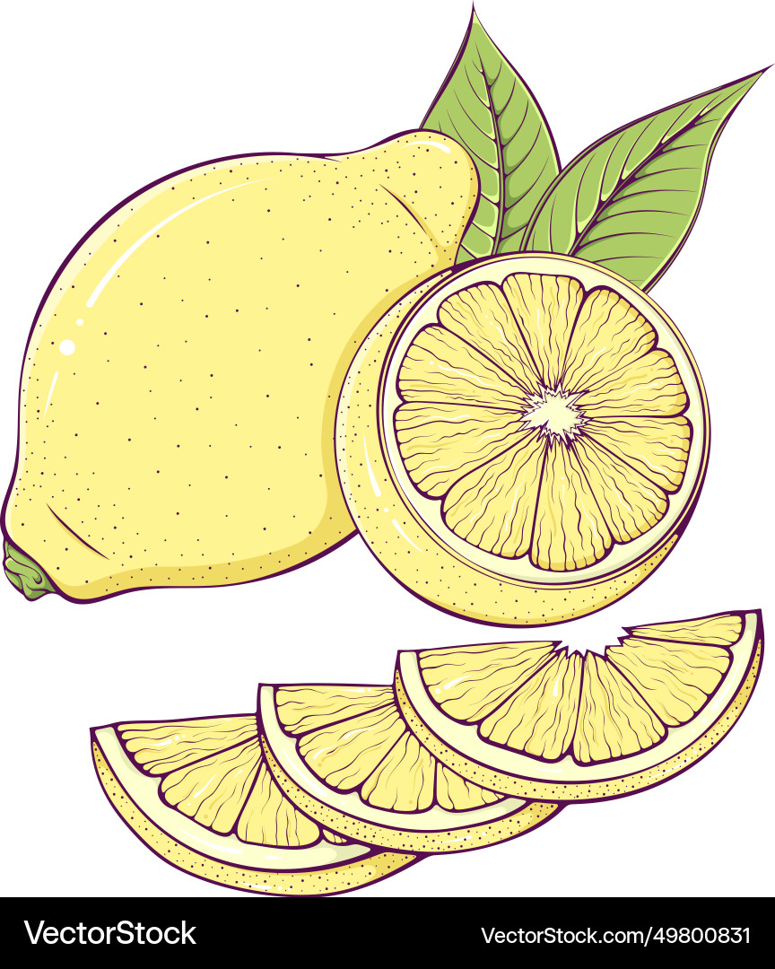 Still life with whole and cut lemon Royalty Free Vector