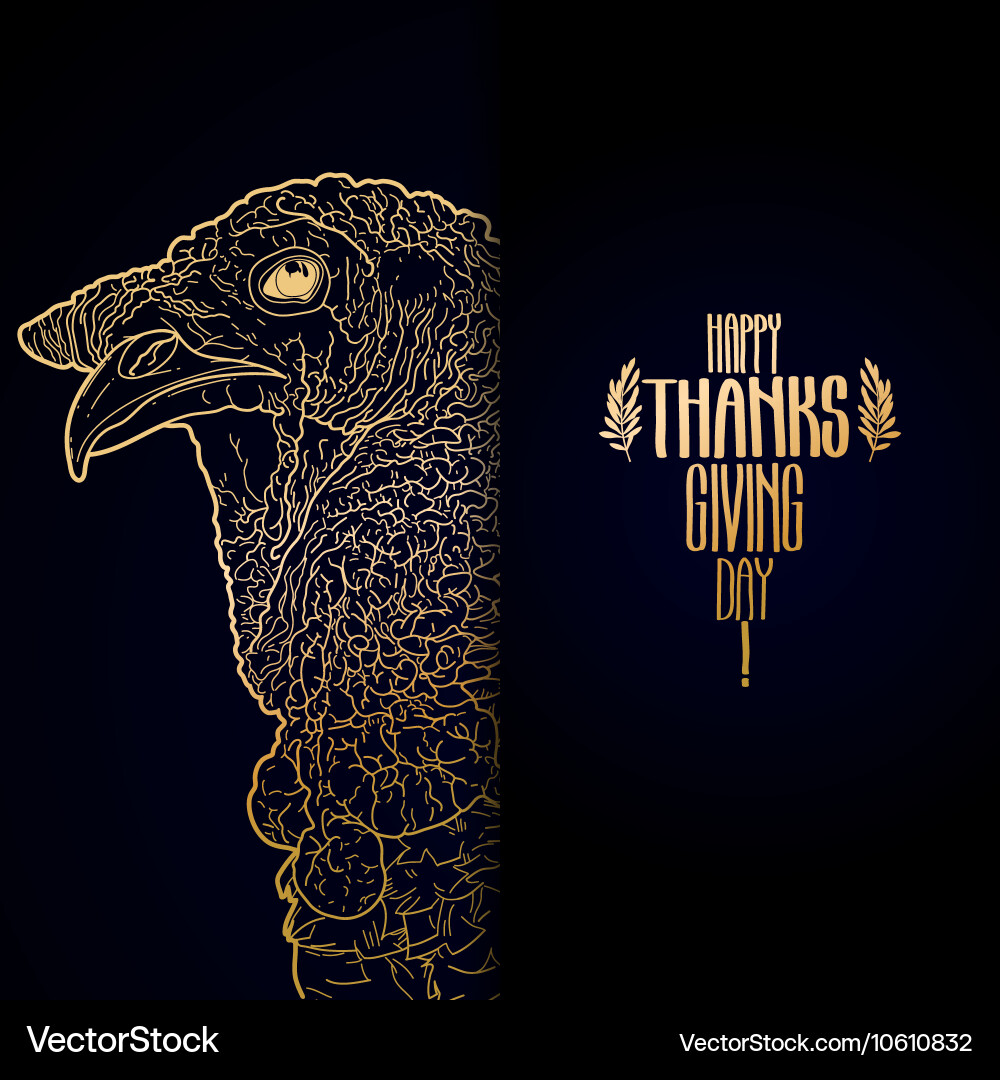 Graphic design with turkey Royalty Free Vector Image