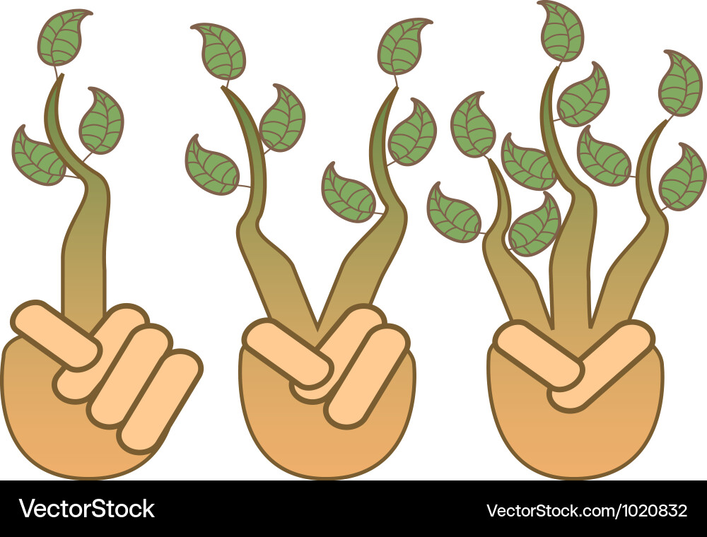 Green leaf growing from hands Royalty Free Vector Image