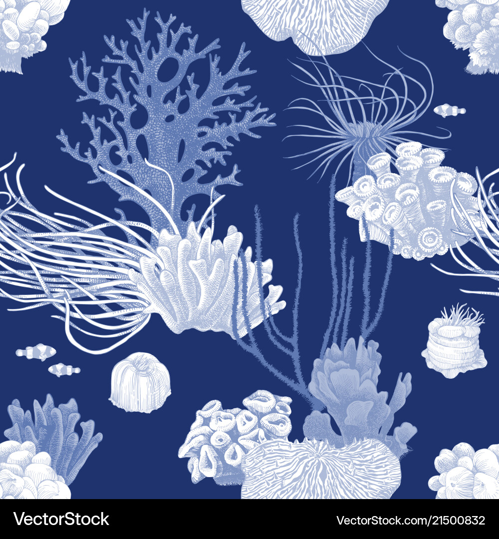 Hand Drawn Coral Reef Pattern Royalty Free Vector Image
