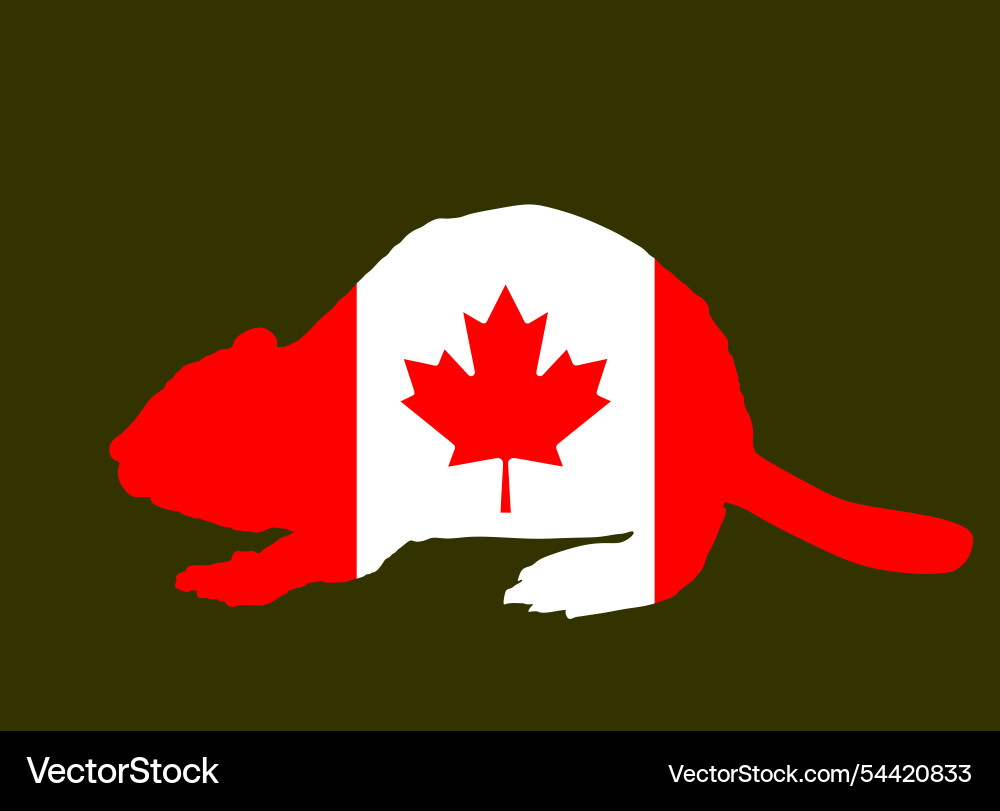 Canada flag beaver silhouette Royalty Free Vector Image