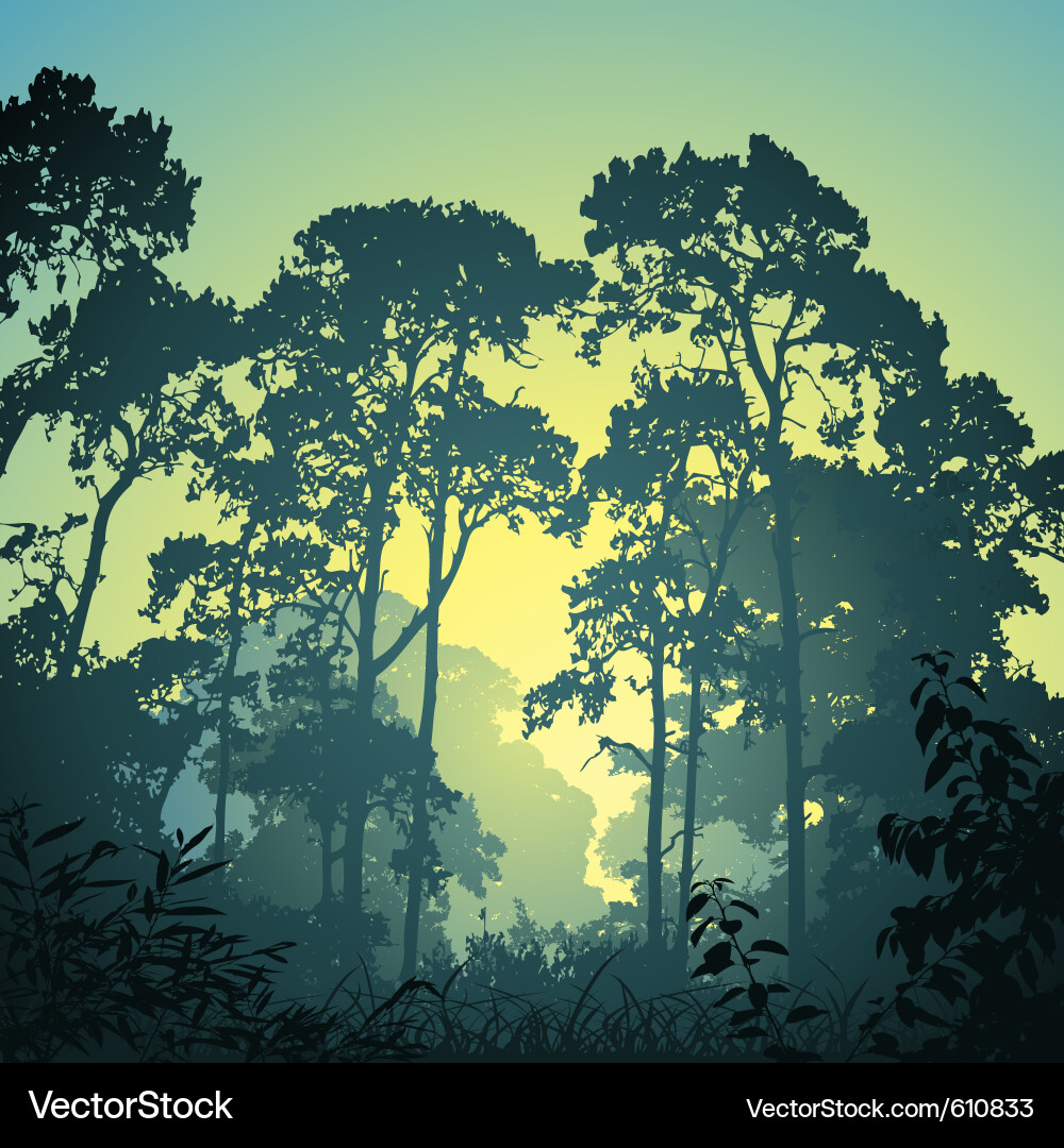 Rain Forest Vector Images (over 8,300)