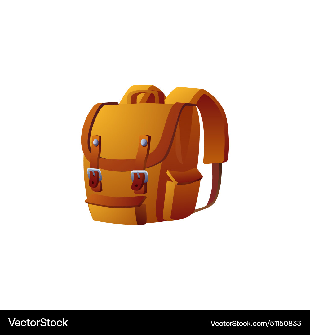 Includes a brown backpack with pockets designed Vector Image