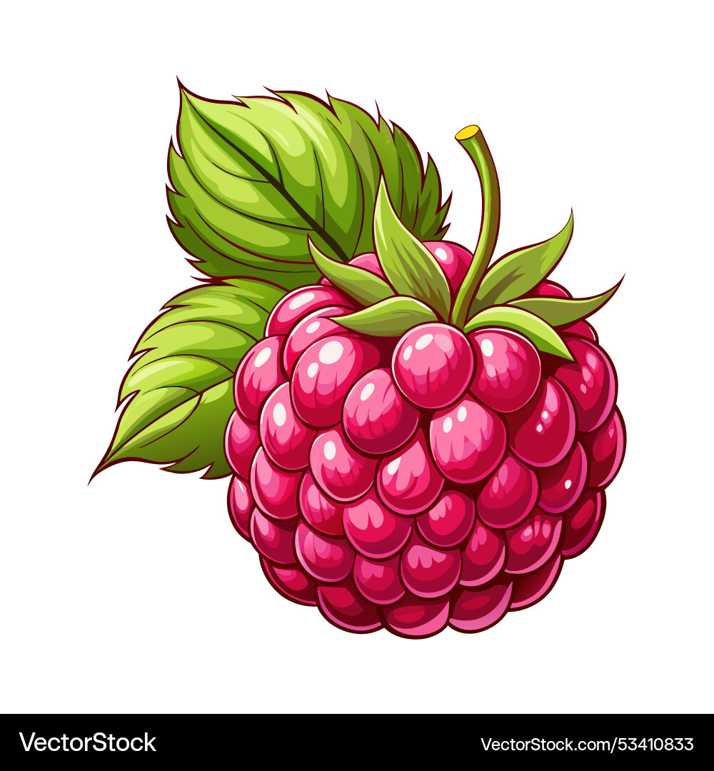 Raspberry art Royalty Free Vector Image - VectorStock