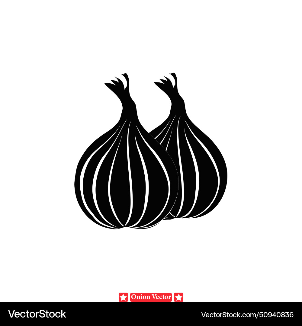 Artistic onion silhouette graphics creative Vector Image