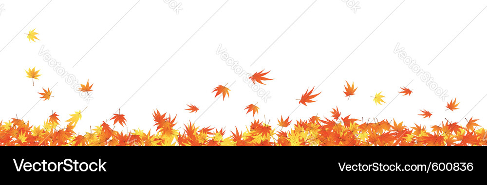 Autumn Maple Leaves Border Royalty Free Vector Image