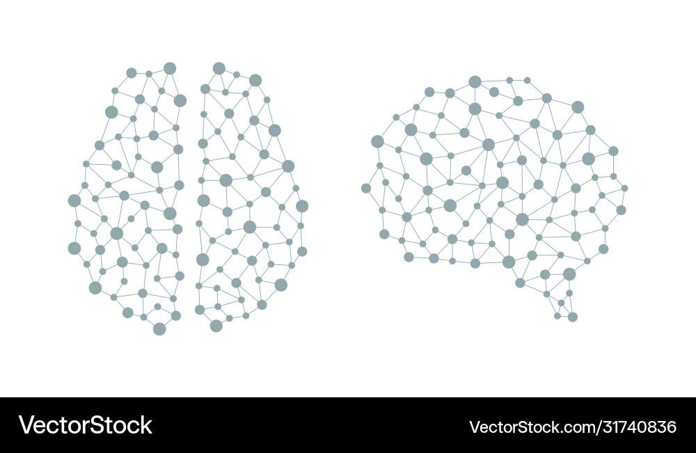 Digital human brain from nodes and connections Vector Image