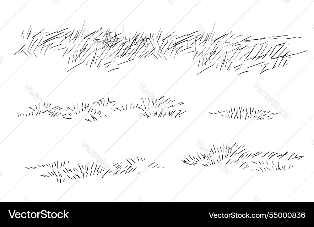 Hand drawing grass set Royalty Free Vector Image