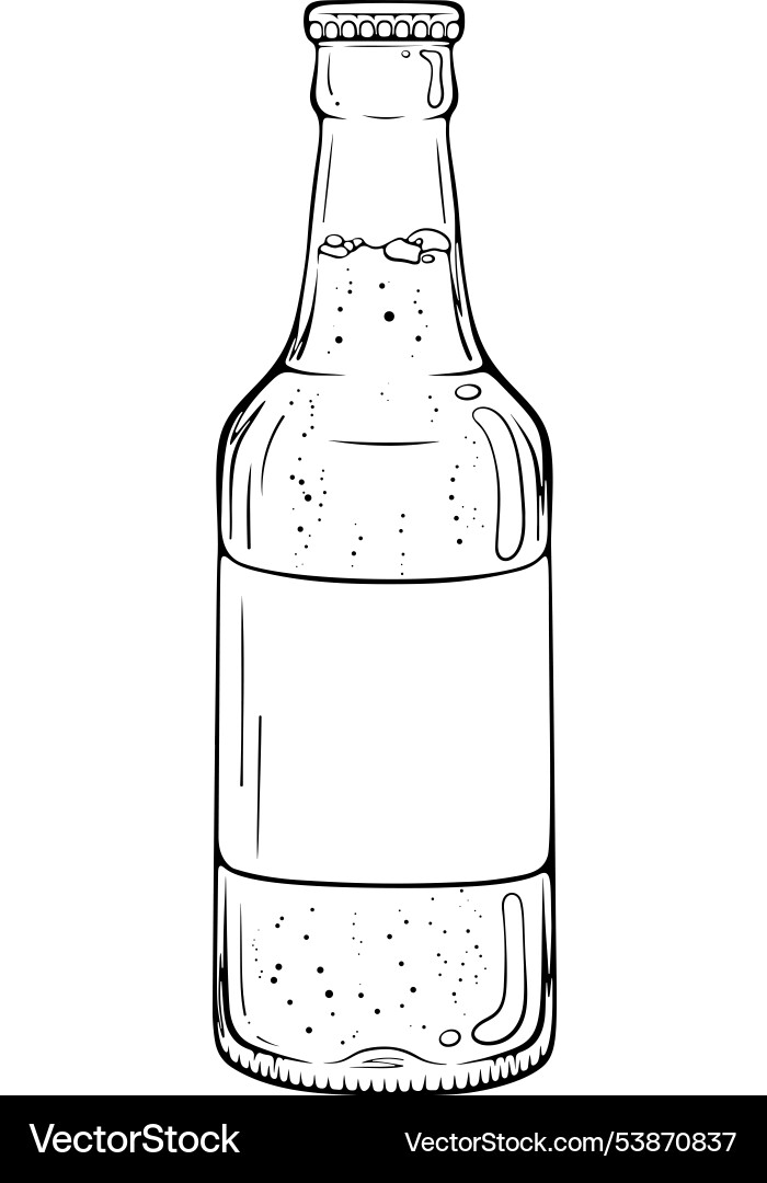 Glass beer bottle line art Royalty Free Vector Image