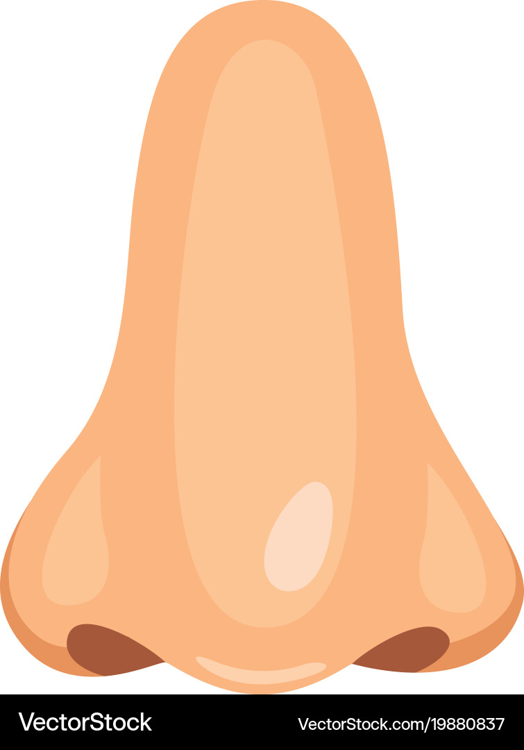 Nose Royalty Free Vector Image - VectorStock