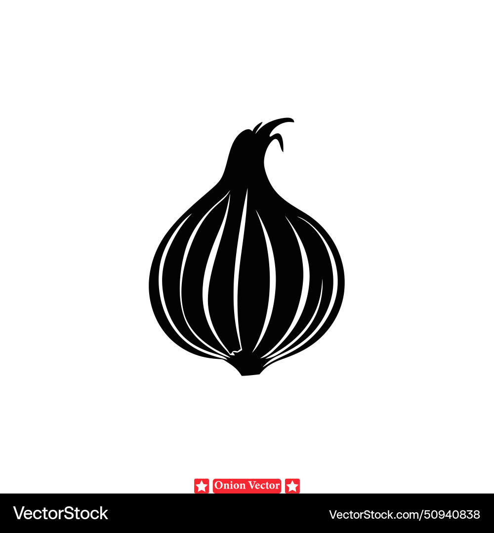 Botanical onion silhouette art nature inspired Vector Image