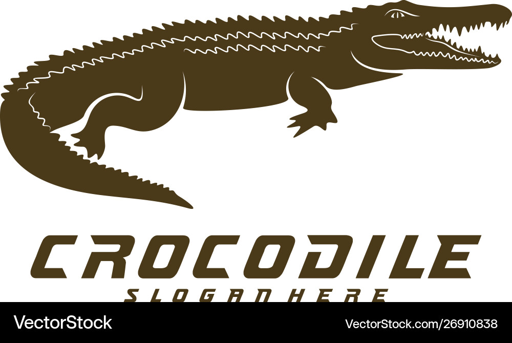 Crocodile logo alligator emblem template Vector Image