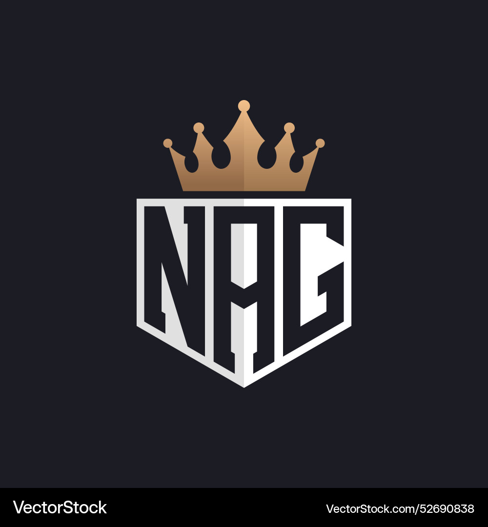 Luxury nag logo with crown elegant initials Vector Image