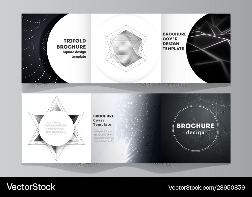 Layout square format covers design Royalty Free Vector Image