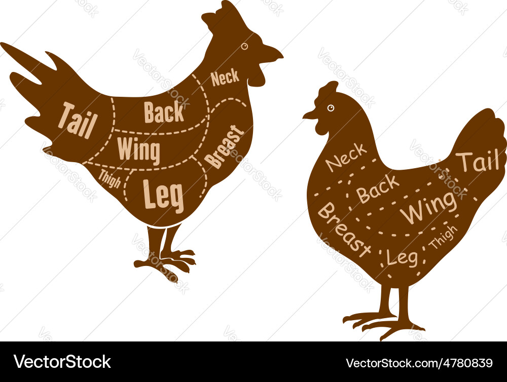Rooster and hen butcher cuts diagram Royalty Free Vector