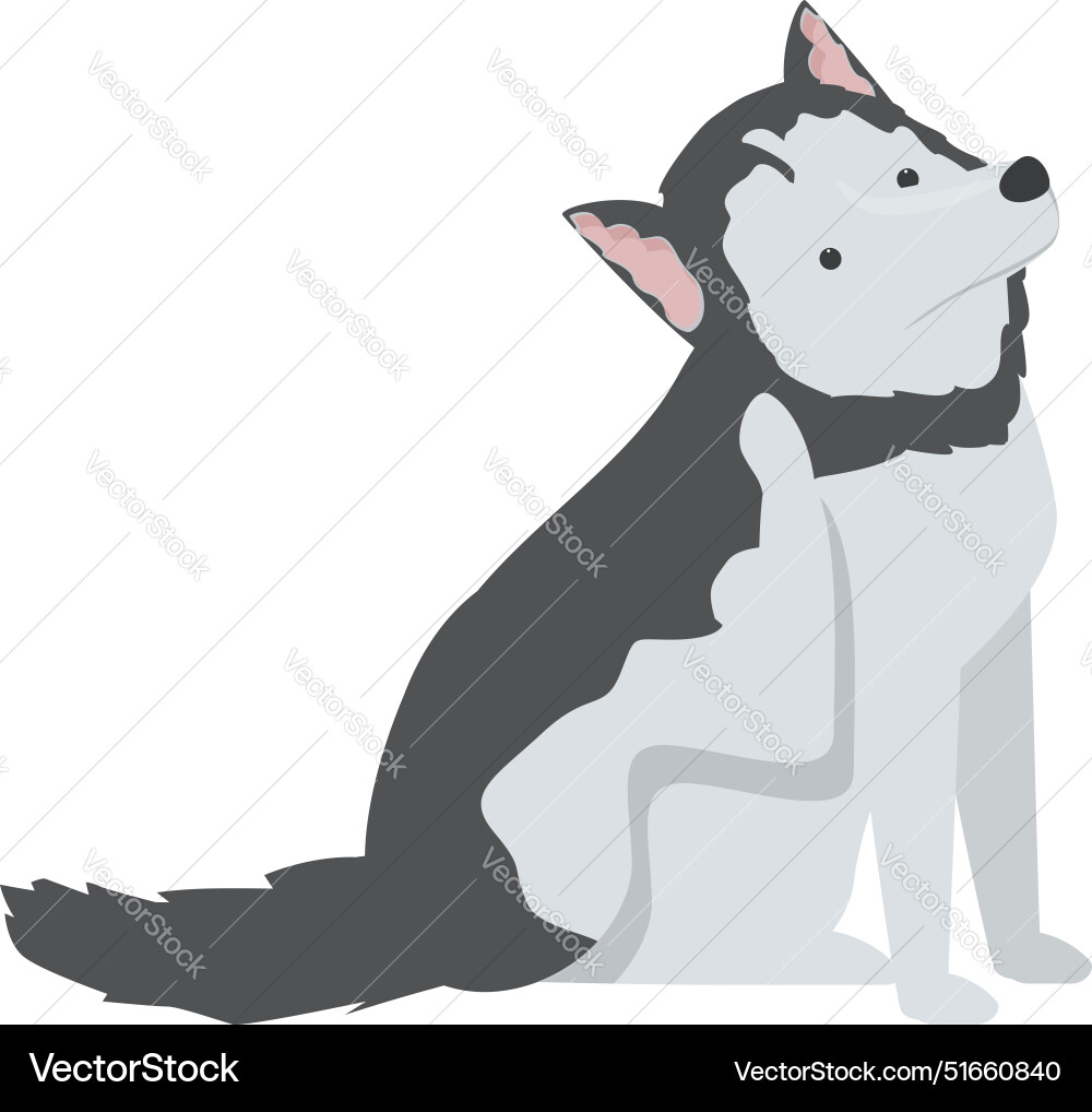 Cute husky dog sitting and looking up Royalty Free Vector