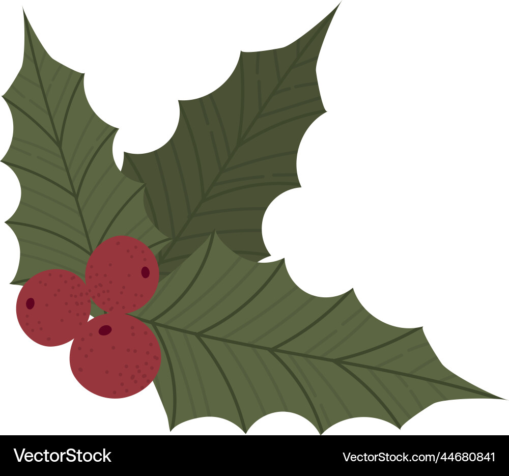 Christmas mistletoe decoration Royalty Free Vector Image