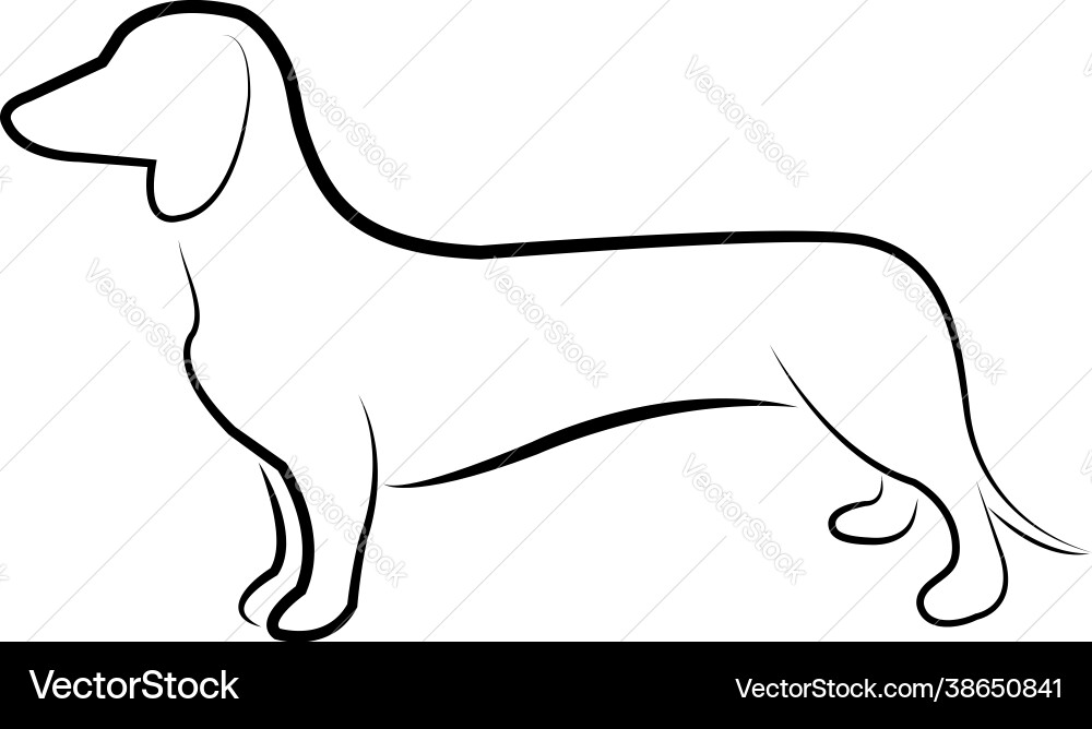 Weiner Dog Outline 146 Sausage Dog Drawing High Res Illustrations