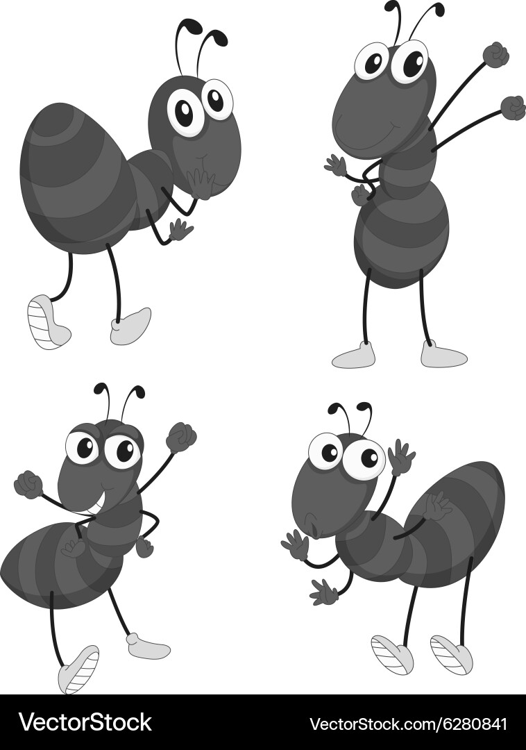Different poses of ants Royalty Free Vector Image