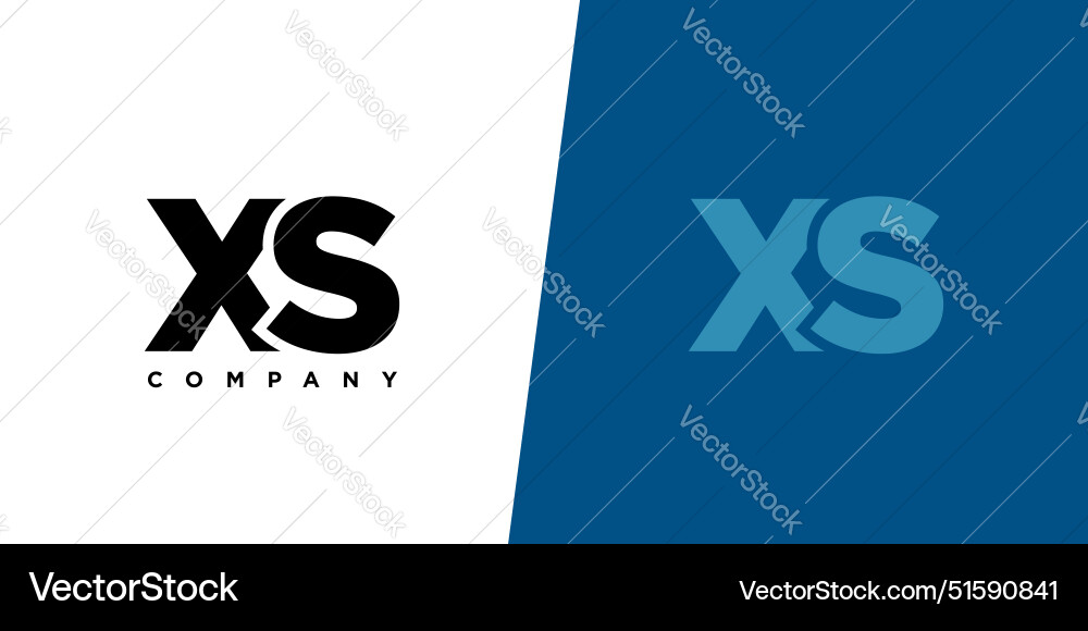 Letter x and s xs logo design template minimal Vector Image