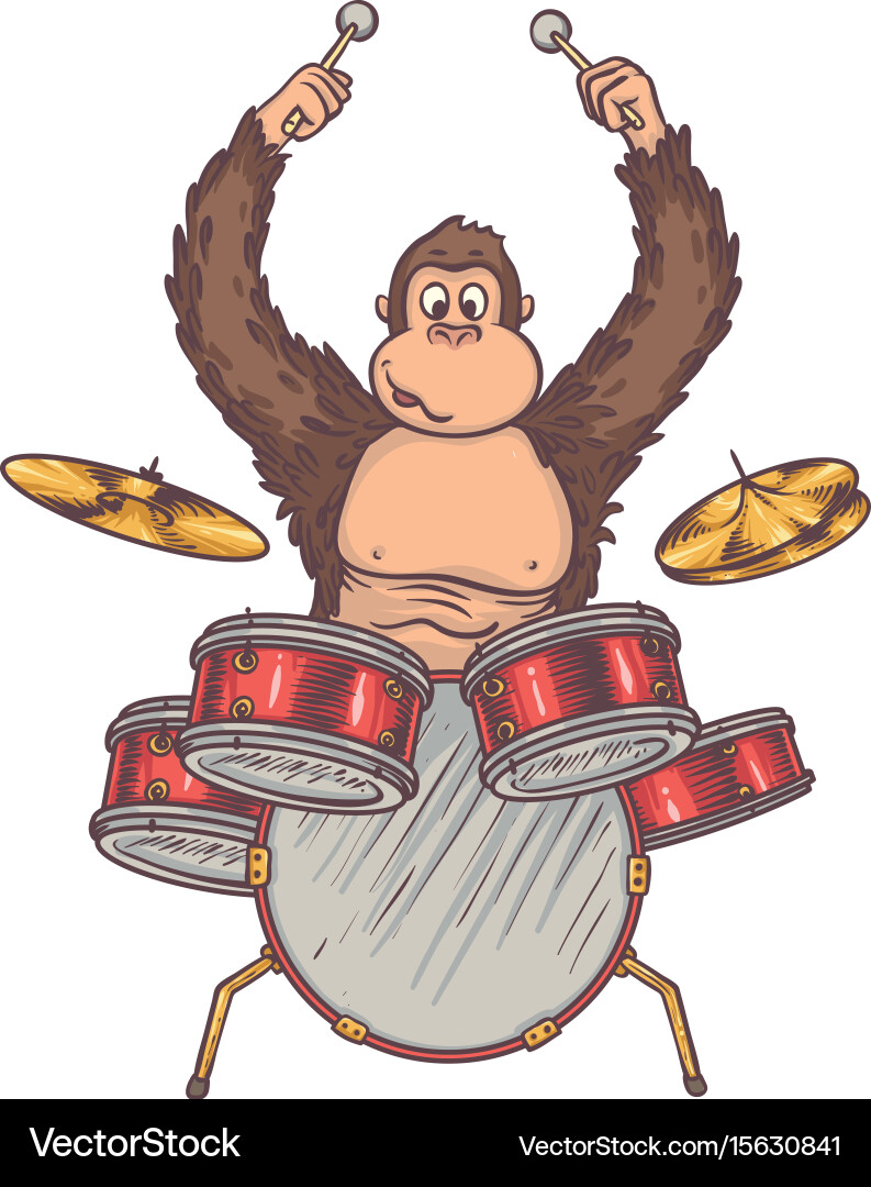 Monkey Playing Drums Royalty Free Vector Image