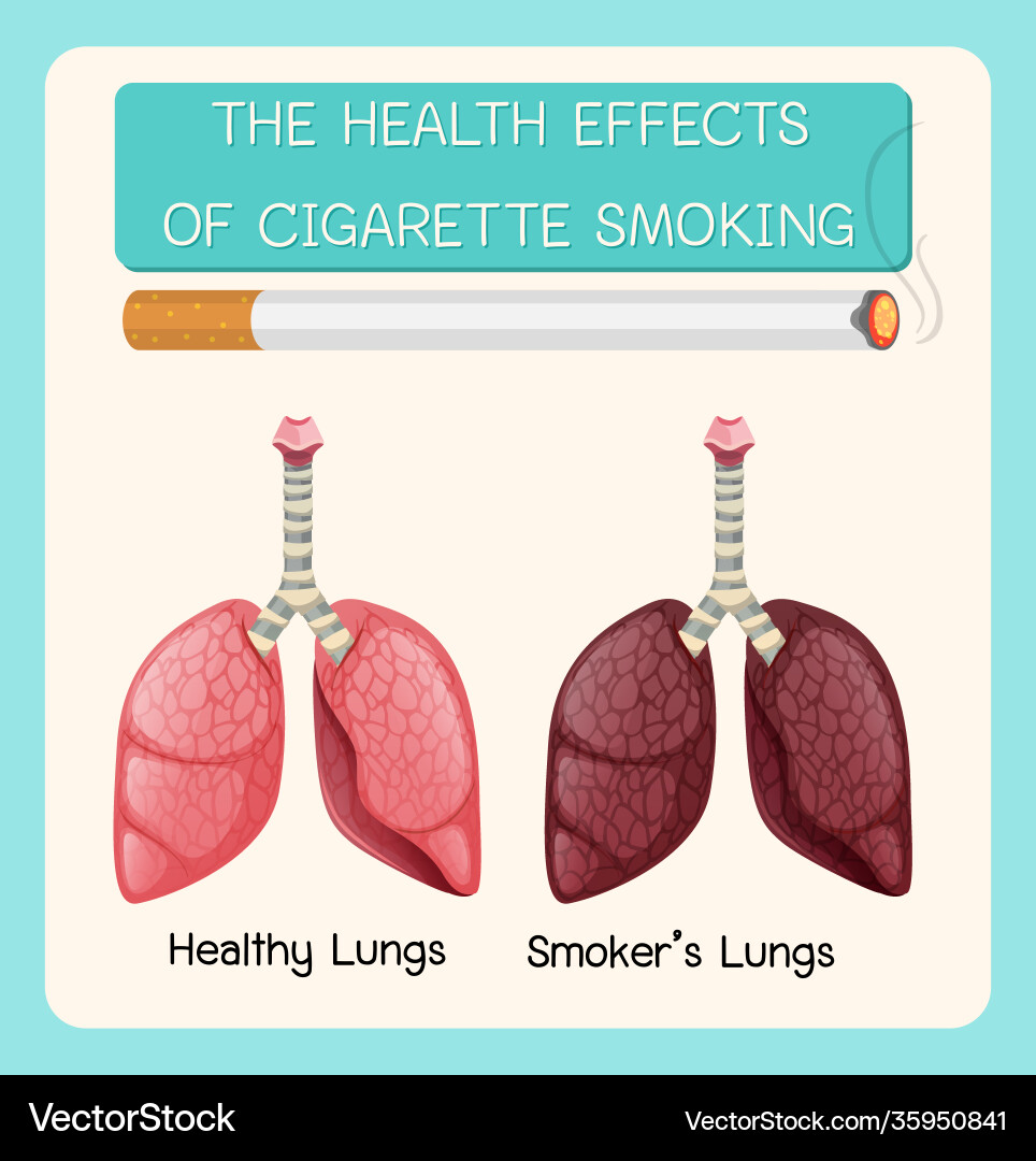Poster on health effects cigarette smoking Vector Image