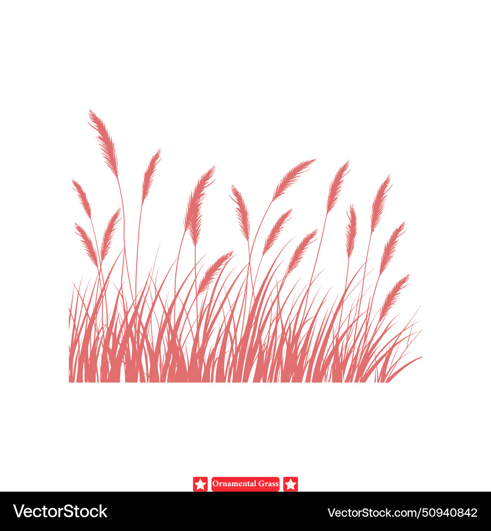 Artistic ornamental grass elegant embellishments Vector Image