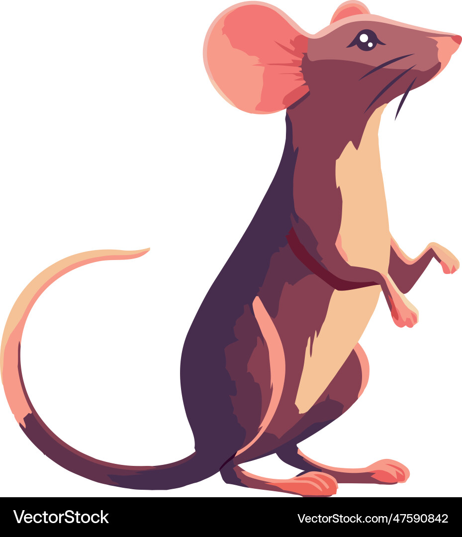 Kleine Ratte sitzt Lizenzfreies Vektorbild - VectorStock