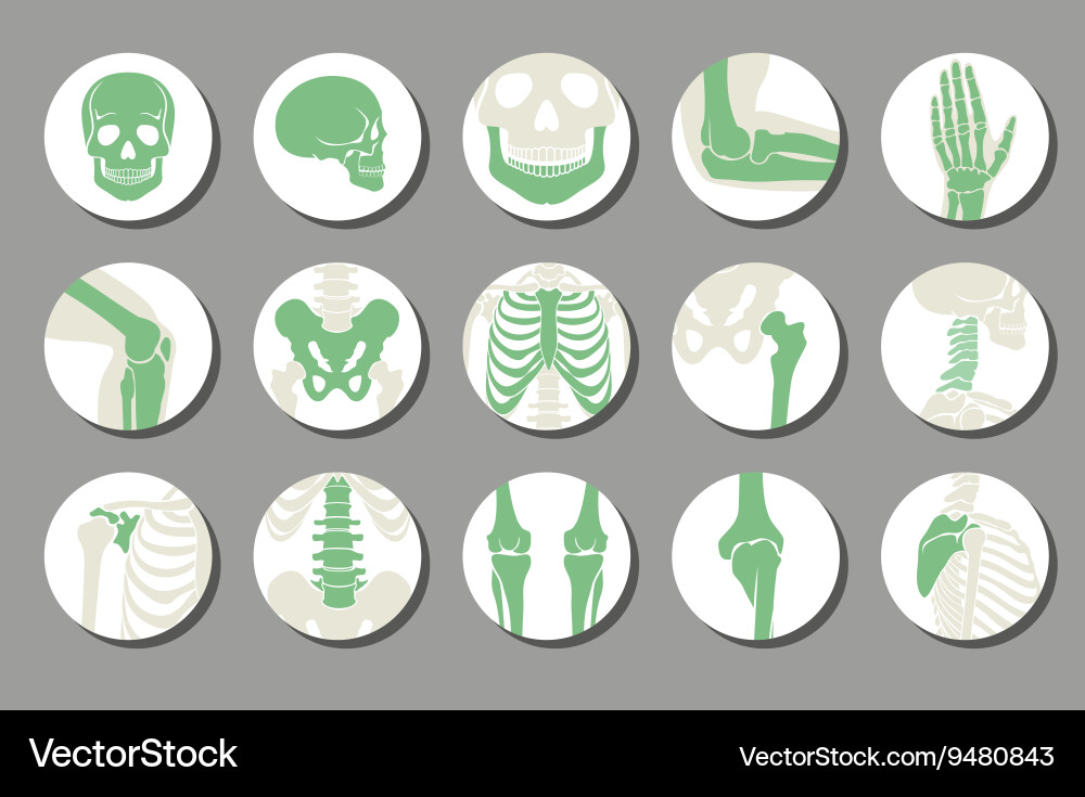 Orthopedic and spine icons Royalty Free Vector Image