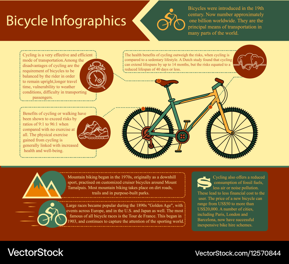 Bike infographic Royalty Free Vector Image - VectorStock