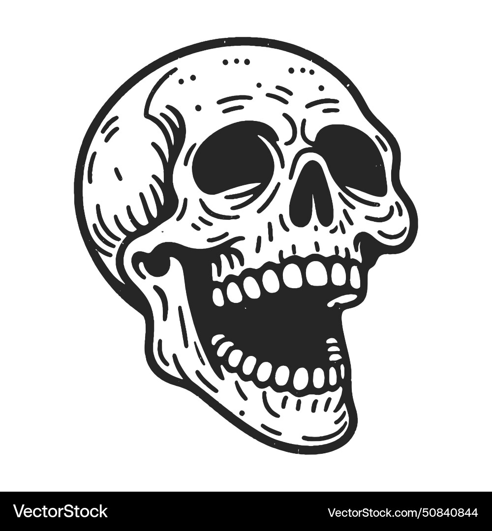 Cartoon laughing human skull Royalty Free Vector Image