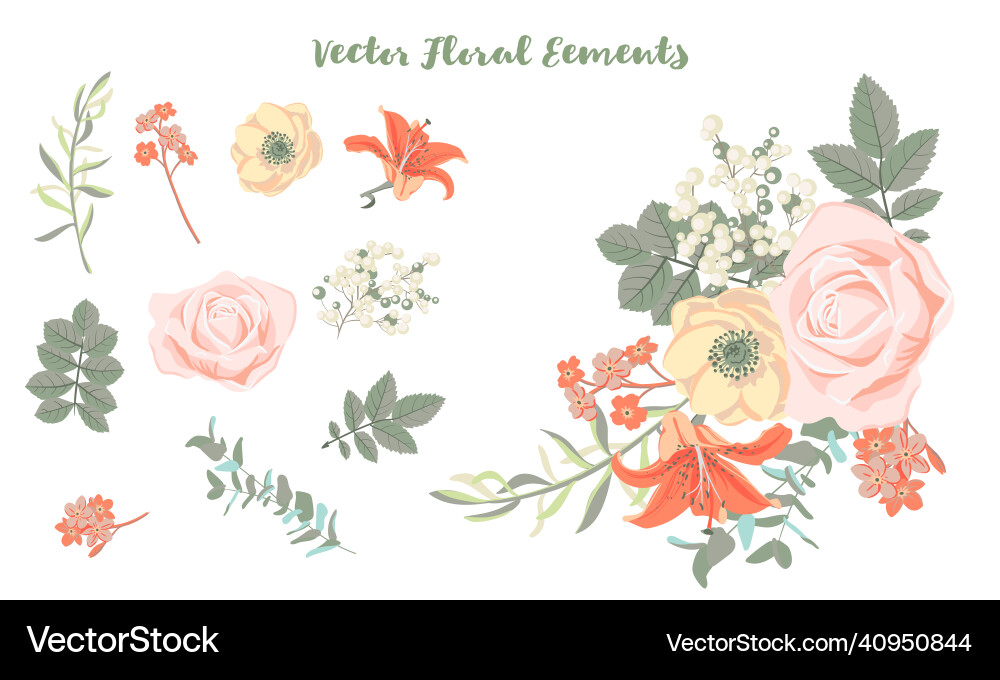 Drawing composition with flowers Royalty Free Vector Image