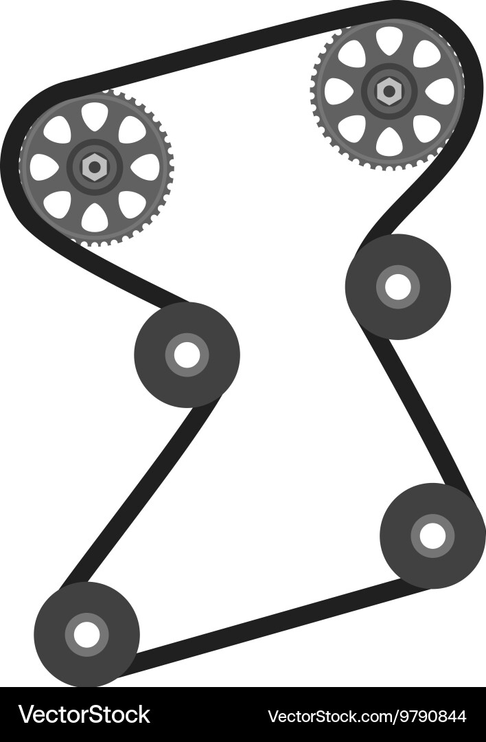 Timing belt Royalty Free Vector Image - VectorStock