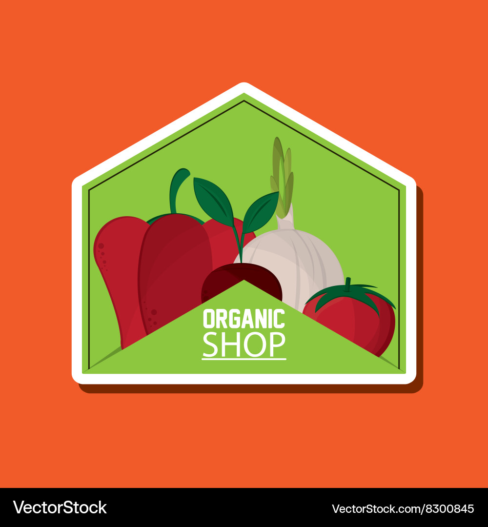 Bio-Shop Design Lizenzfreies Vektorbild - VectorStock