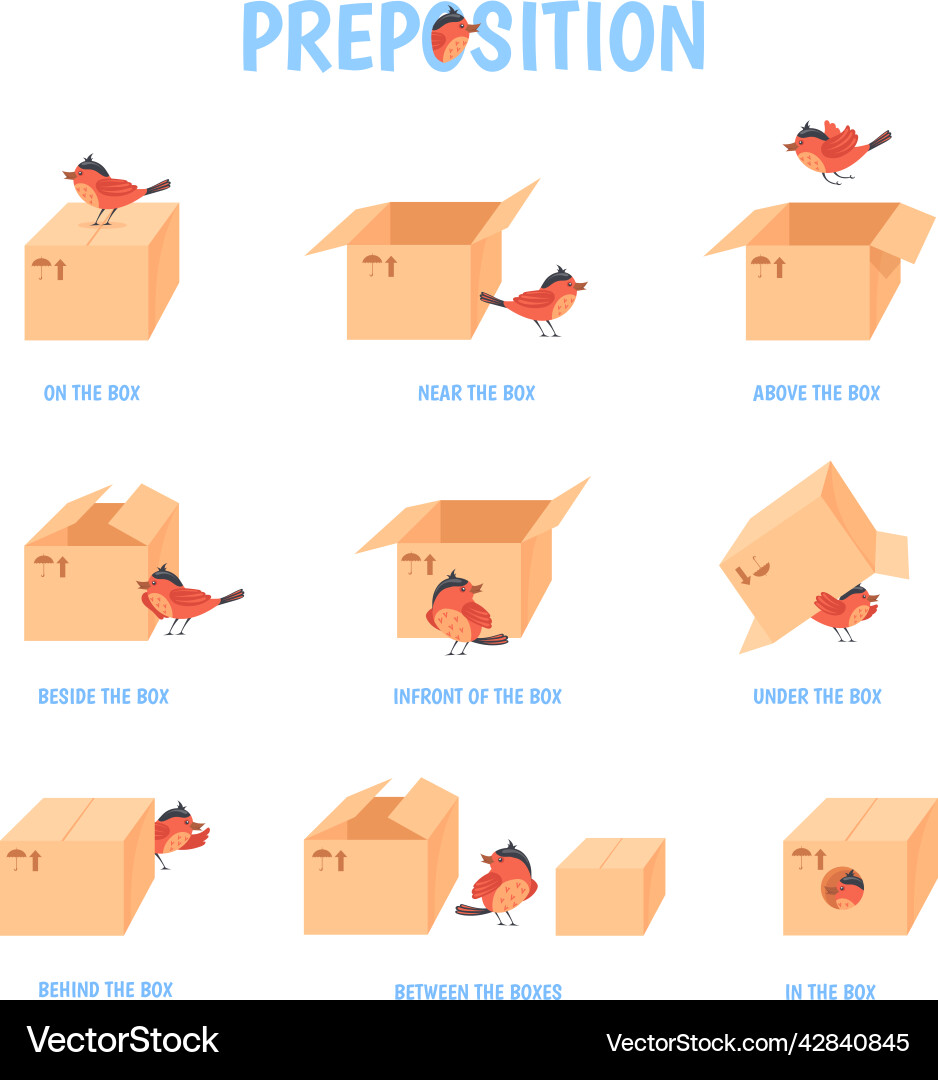 Bird Prepositions - Preschool Education Royalty Free Vector