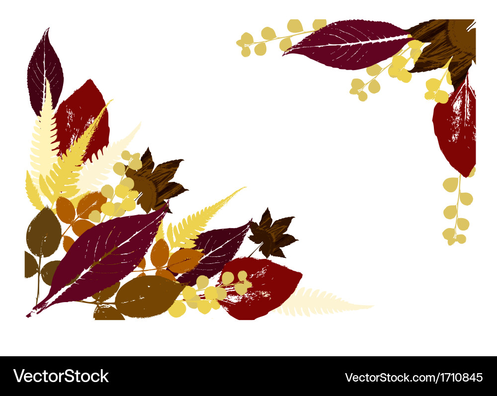 Fall leaves Royalty Free Vector Image - VectorStock
