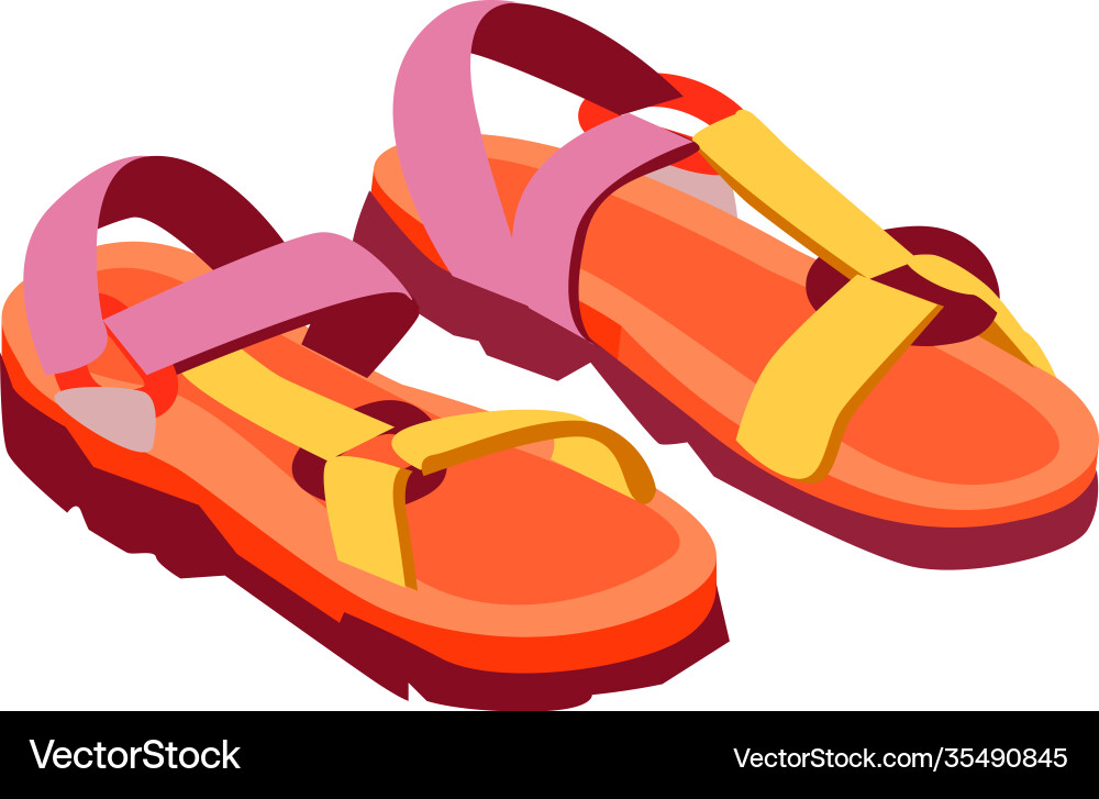 Fashion sandals Royalty Free Vector Image - VectorStock