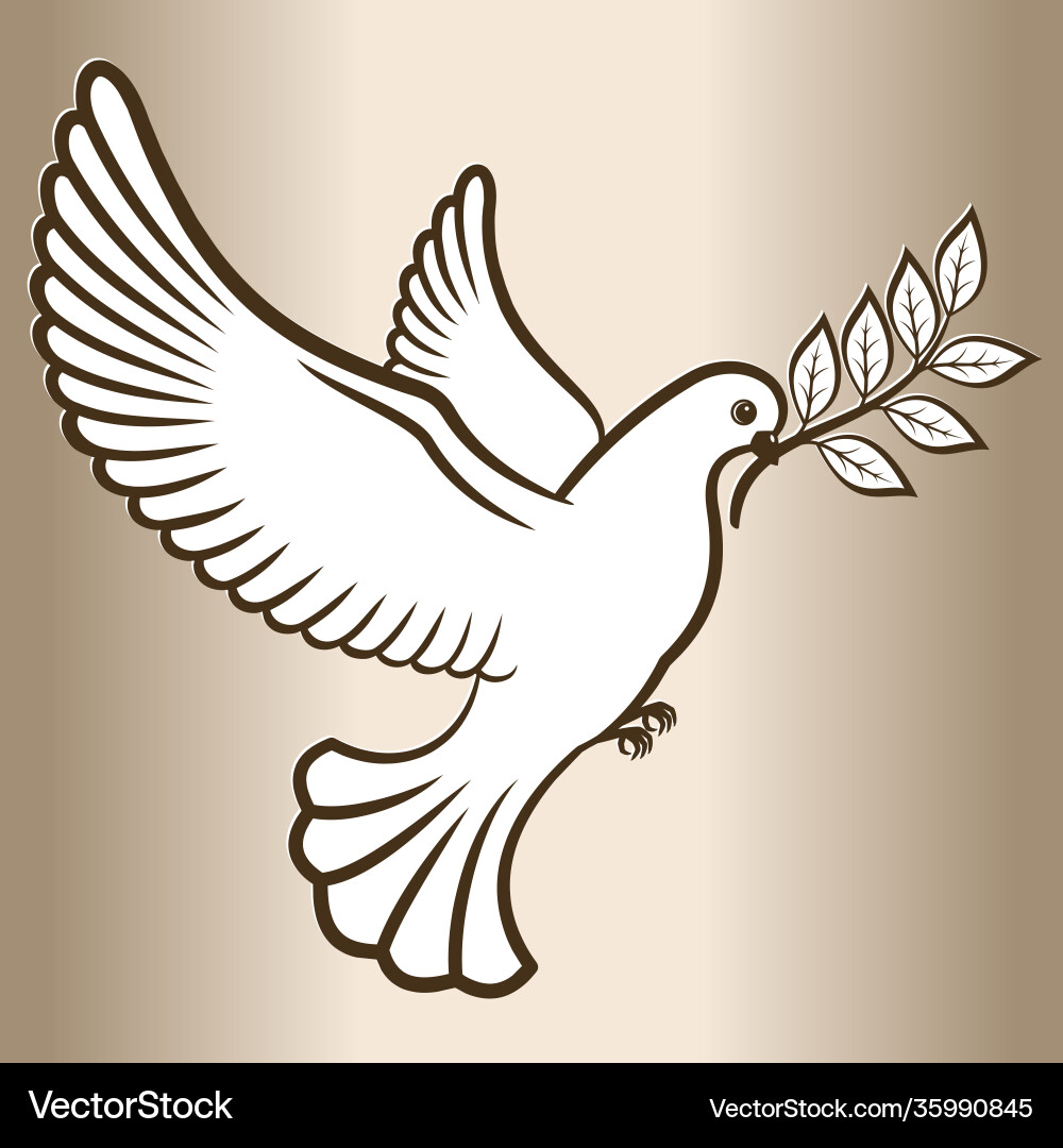 White Dove of Peace Royalty Free Vector Image - VectorStock